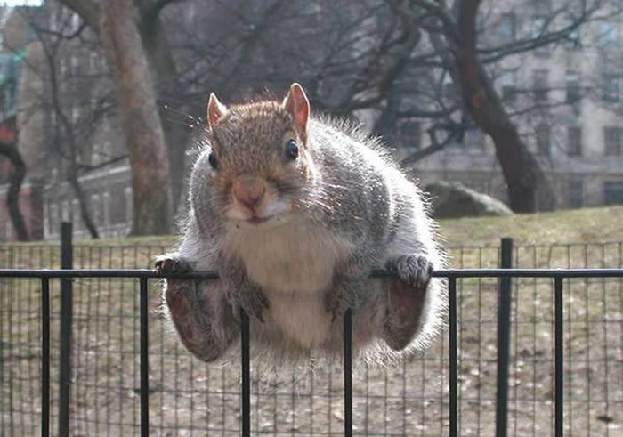 Забавные фото и картинки / Приколы