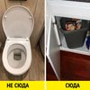 Домоседы
